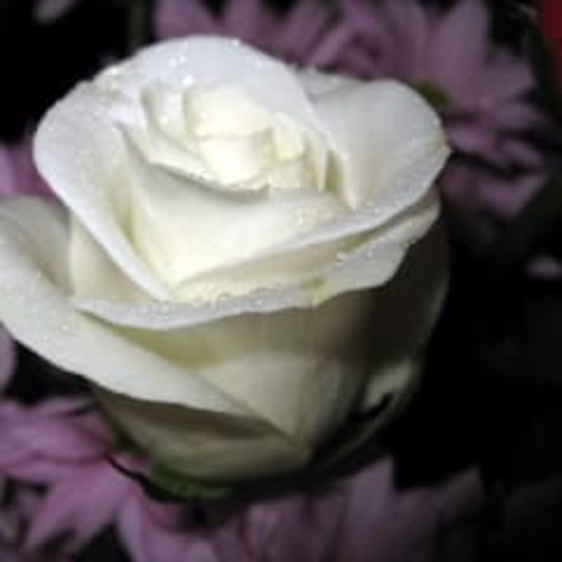 Carol June Perry Langdon obituary and life story | The Memories