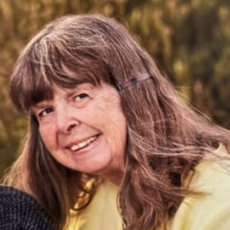 Judith "Judy" Ann Gorsegner obituary and life story | The Memories