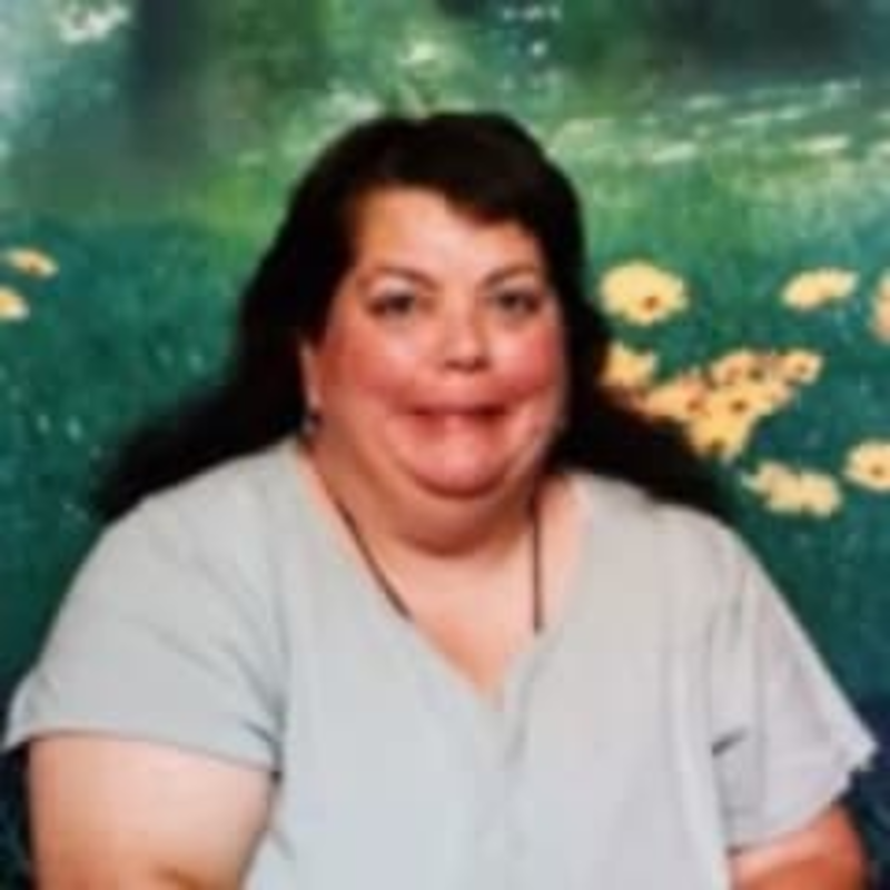 Lisa Anne Adolphson obituary and life story | The Memories