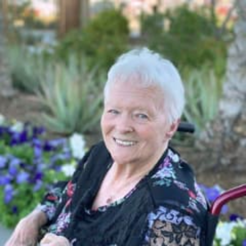 LuAnn Lyon Conley obituary and life story | The Memories