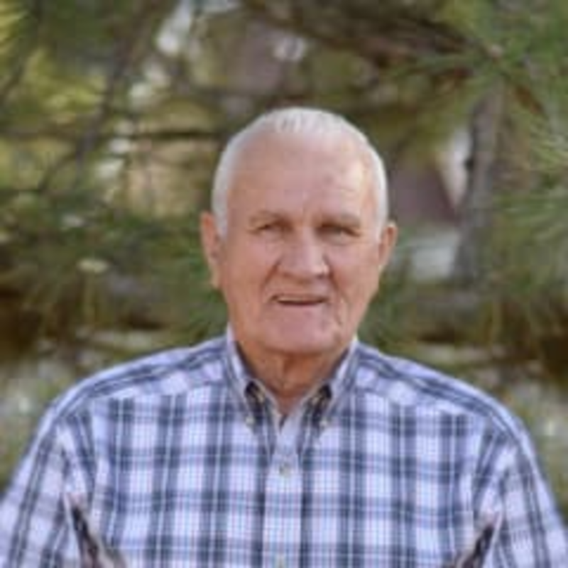 Lyle E Taylor obituary and life story | The Memories