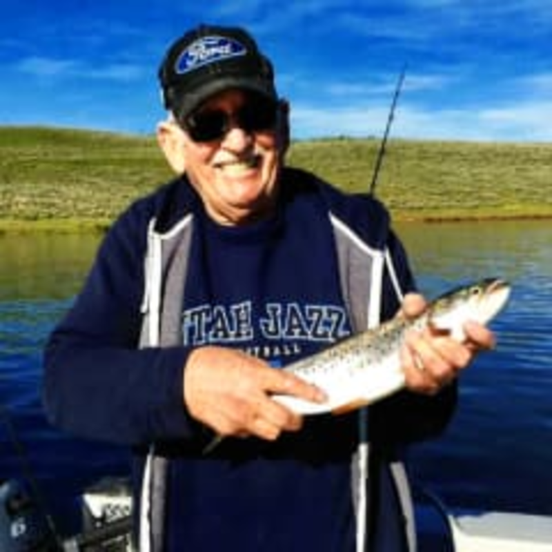 Richard "Dick" Dell Simpson obituary and life story | The Memories