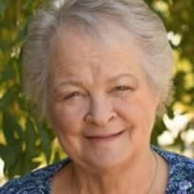 Shauna Brown Collins obituary and life story | The Memories