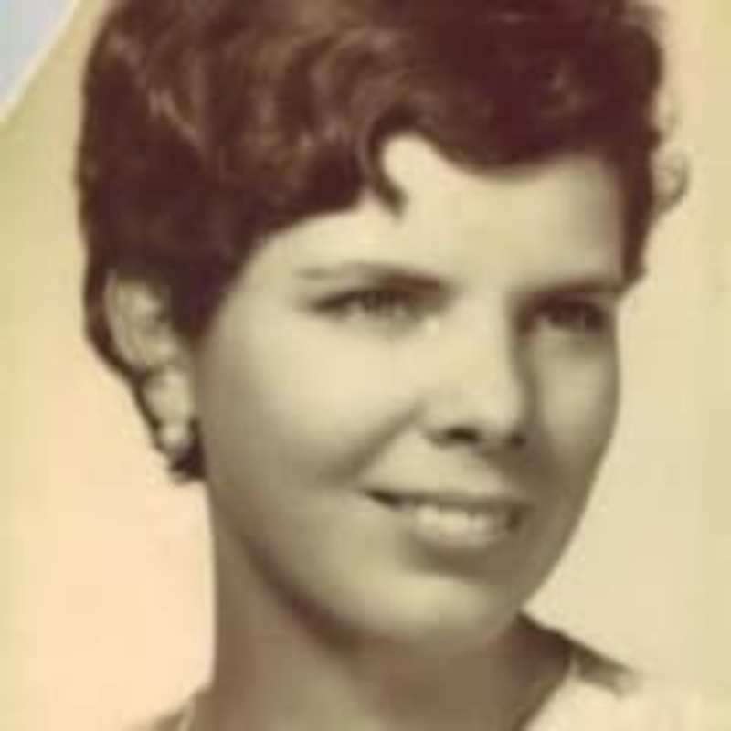Terryl "Terry" Lynne Brenner Bath obituary and life story | The Memories